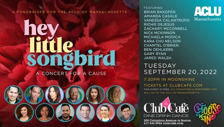hey little songbird – a concert for a cause
